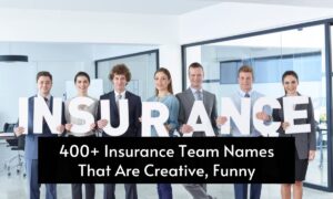 400+ Insurance Team Names That Are Creative, Funny, and Powerful - Team ...